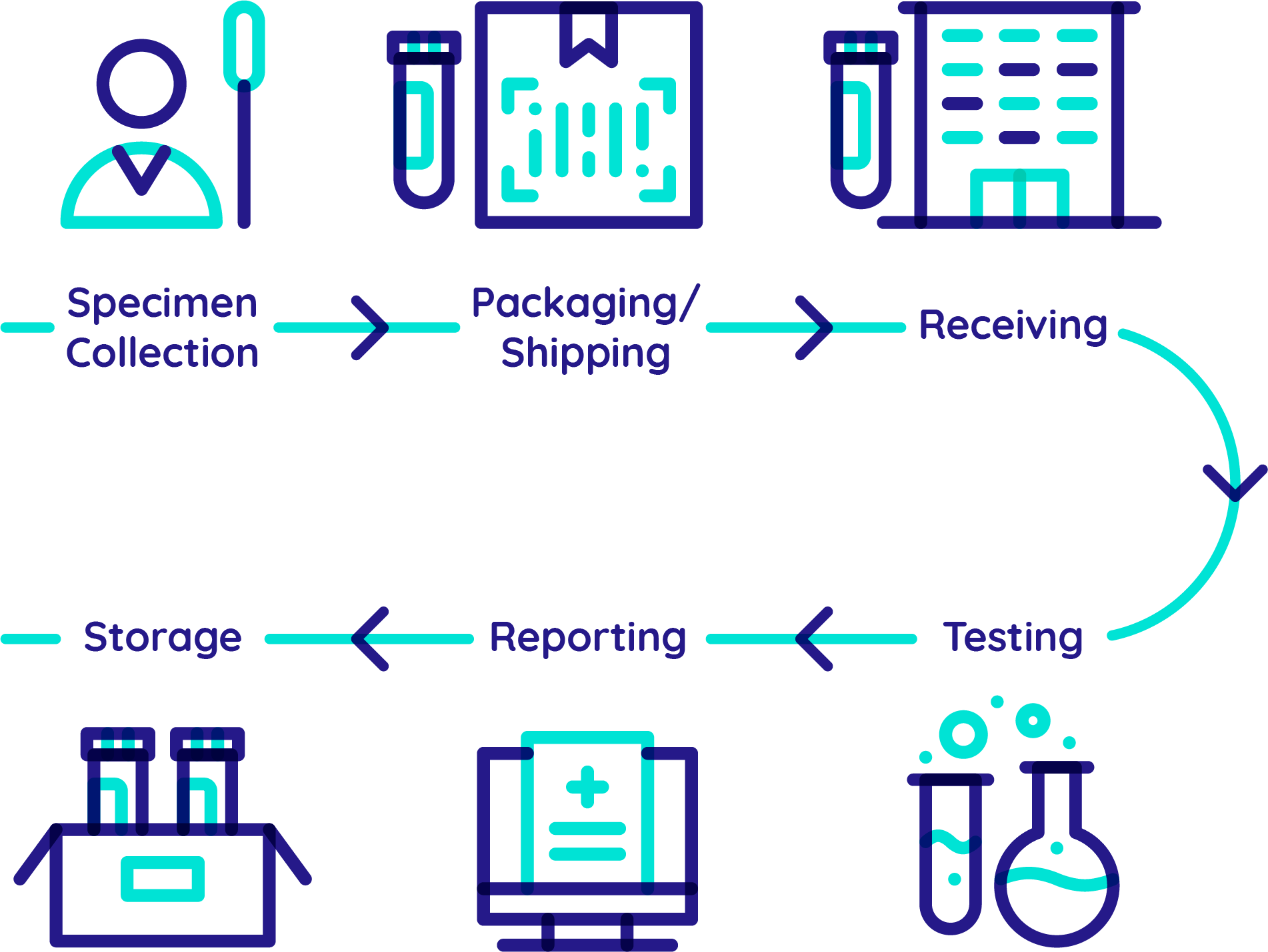 Simplicity™ Dx Collection