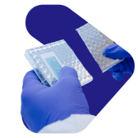 Urinary Tract Microbiota Panels - Simplicity Panel™